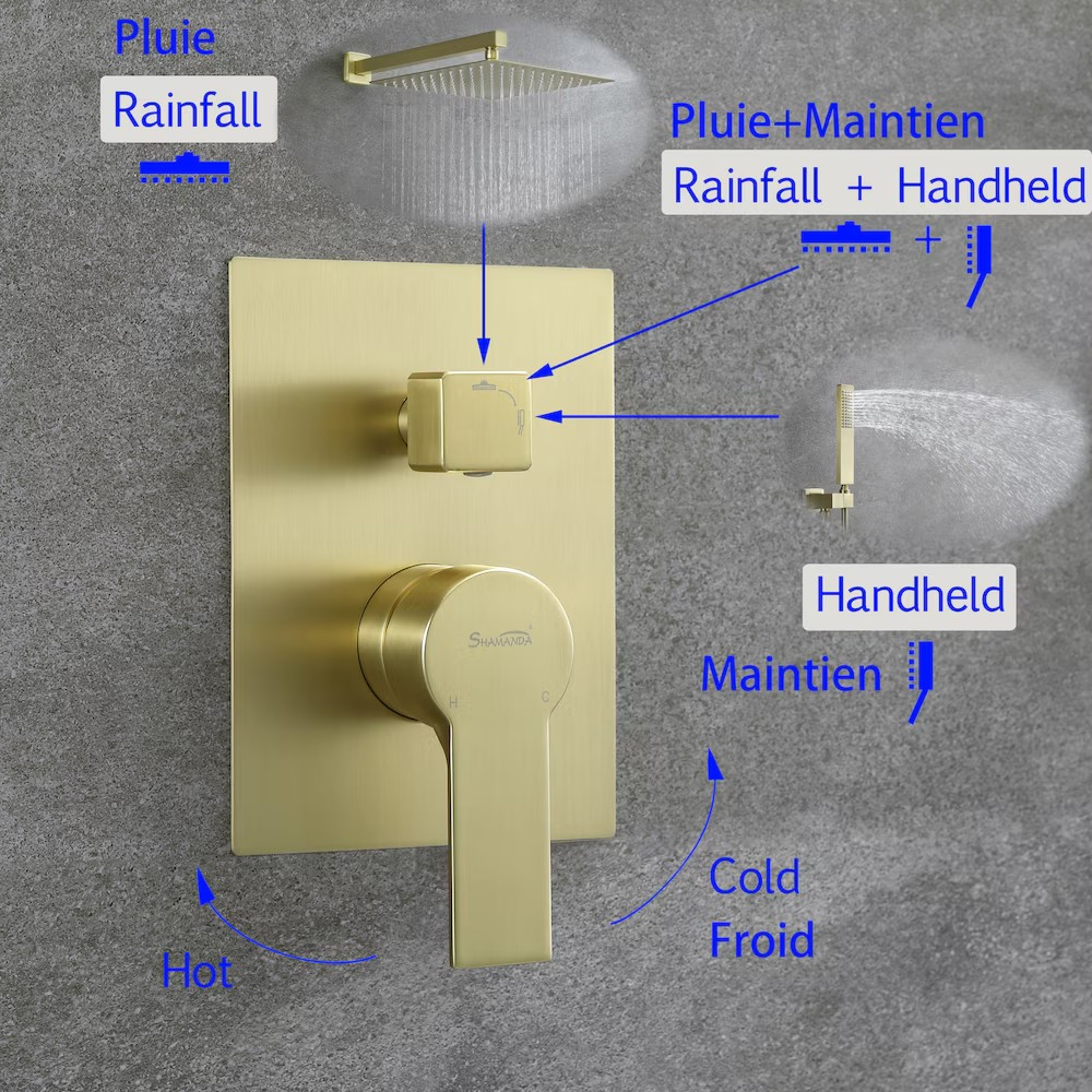 Boyel Living 12 in. Wall Mount Shower System Dual Shower Heads with Ro ...